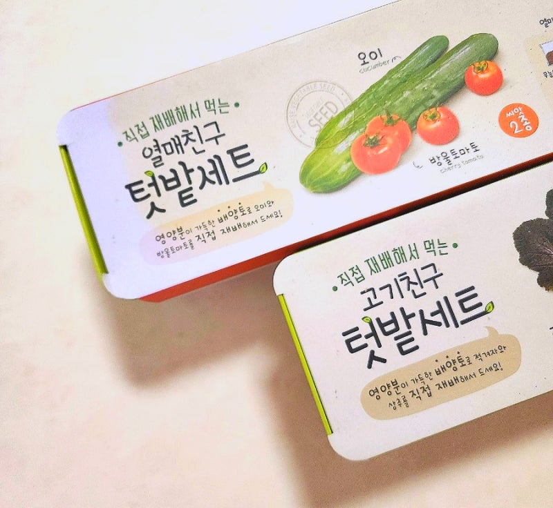 다이소 텃밭세트 열매친구 고기친구 아기랑 상추 토마토 오이 심기 네이버 블로그