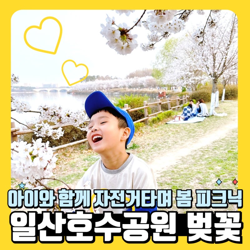 일산 호수공원 벚꽃 개화시기 아이랑 꽃구경하고 자전거 타며 봄 피크닉 즐기기 네이버 블로그