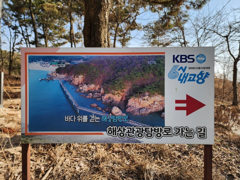 국립무의도자연휴양림 숲속의 집 무의도객실 숙박 후기 네이버 블로그