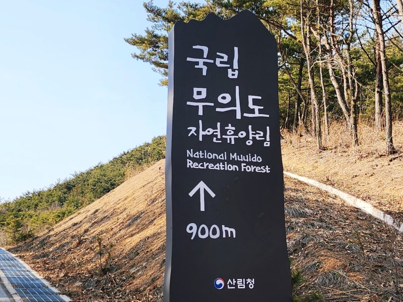 국립무의도자연휴양림 숲속의 집 무의도객실 숙박 후기 네이버 블로그