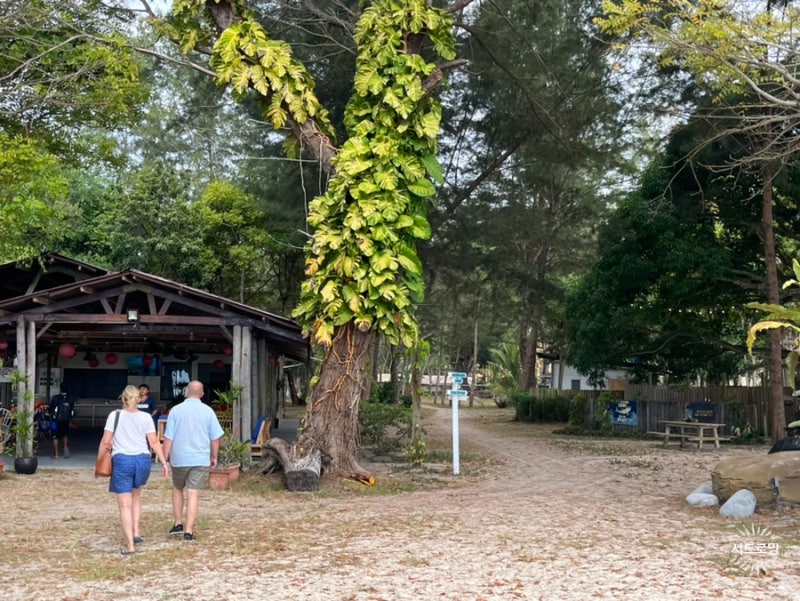 코타키나발루 : Dinawan island, 디나완 섬 호핑투어 예약 방법 및 후기(*추천) : 네이버 블로그