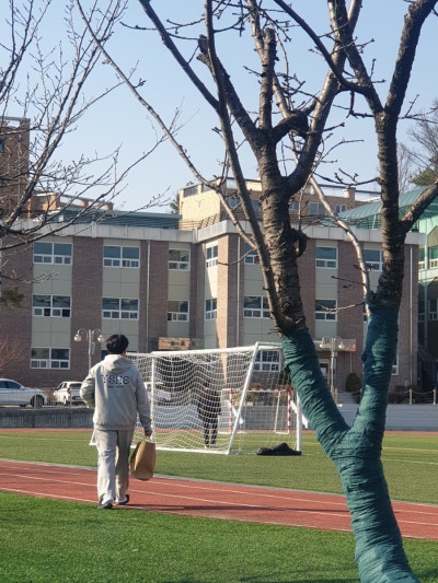 양서고커트라인 양서고합격후기 입학설명회 양서고입결 2024 양서고학사일정 양서고기숙사 양서고급식 양서고입학 한달째
