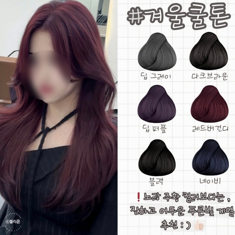2024 여자 염색 추천 퍼스널컬러 종류 봄 가을 웜톤 여름 겨울 쿨톤 어울리는 염색 네이버 블로그