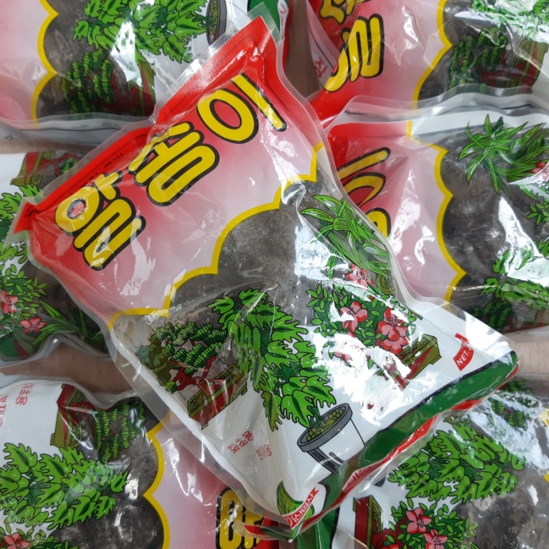 아보카도 나무 키우기씨앗 발아 방법 수경재배 직파 관리 방법 분갈이 시기 2년 성장 일기 네이버 블로그