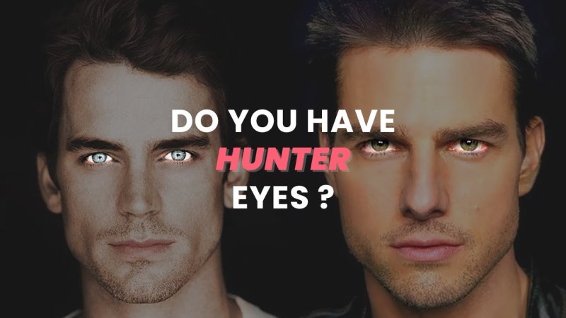 유튜브로 영어공부 : 포식자의눈 Hunter(Predator) eyes, 멋잇감의눈 Prey eyes 뜻? : 네이버 블로그