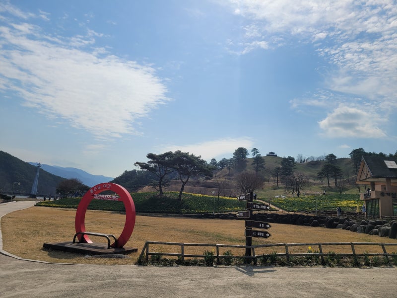 전남 여행 구례 지리산 치즈랜드 수선화 명소 방문기 ♥ 실시간 개화 상황 And 방문 꿀팁 네이버 블로그