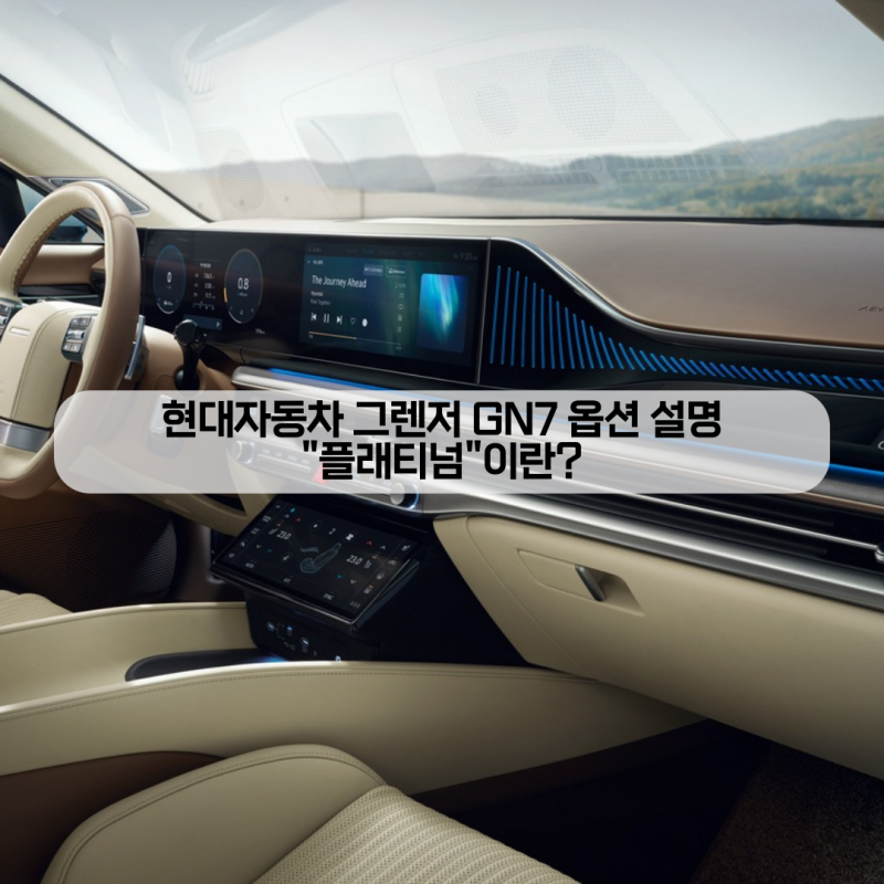 현대자동차 그렌저 GN7 옵션 설명"플래티넘"이란? : 네이버 블로그