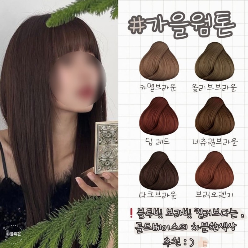 2024 여자 염색 추천 퍼스널컬러 종류 봄 가을 웜톤 여름 겨울 쿨톤 어울리는 염색 네이버 블로그