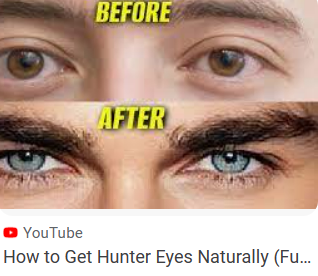 유튜브로 영어공부 : 포식자의눈 Hunter(Predator) eyes, 멋잇감의눈 Prey eyes 뜻? : 네이버 블로그