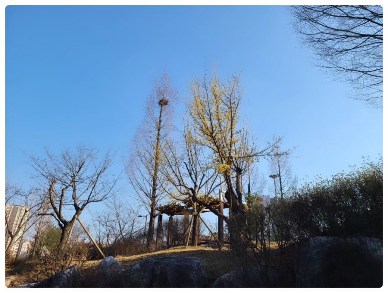 봄날의 산책길 Gtxa 성남역 오픈 예정 굿모닝공원 금토천 화랑공원 운중천 And 판교 산책길 네이버 블로그