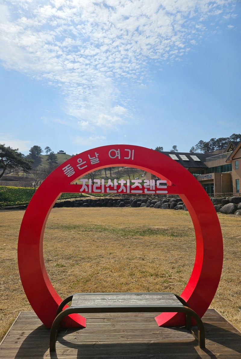 전남 여행 구례 지리산 치즈랜드 수선화 명소 방문기 ♥ 실시간 개화 상황 And 방문 꿀팁 네이버 블로그