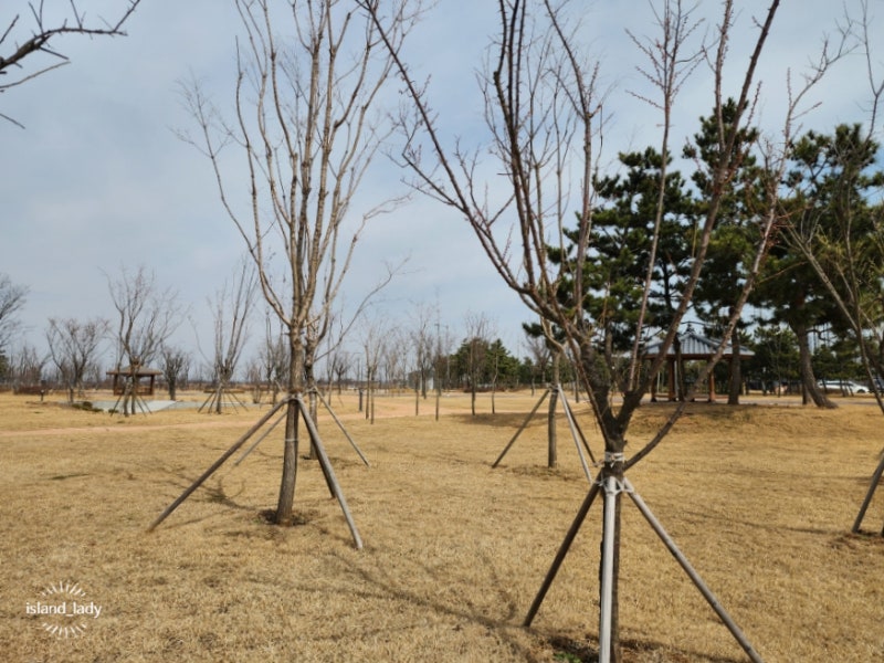 화성여행 매향리평화생태공원 네이버 블로그