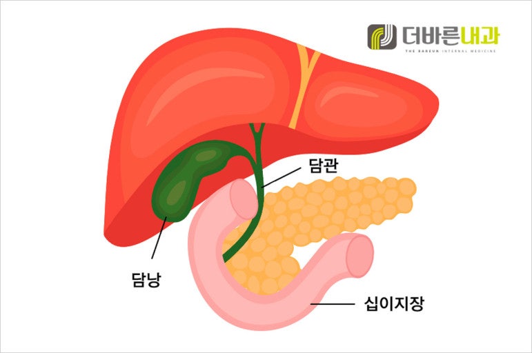 의학용어 PTBD & PTGBD 차이, 시술 전 후 간호 : 네이버 블로그