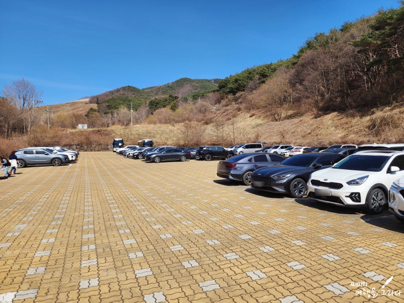 서산 개심사 청벚꽃 왕벚꽃 겹벚꽃 개화시기 실시간 기본정보 네이버 블로그