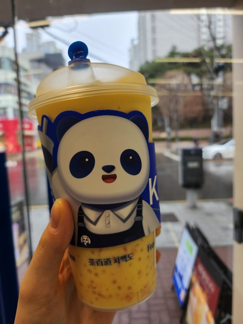 차백도 서울 강남 대치 한티 밀크티 버블티 망고사고 맛집 차백도 메뉴 망고 포멜로 사고 꿀조합 내돈내산 후기🐾