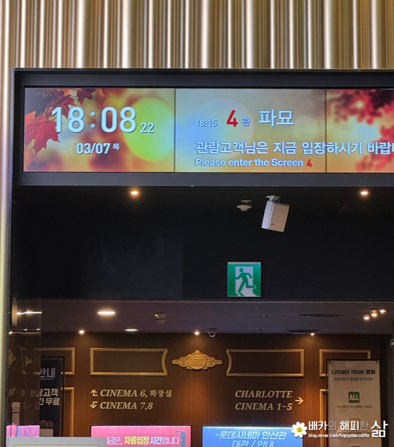 안산 샤롯데 롯데시네마 영화관 내돈내산 후기 네이버 블로그