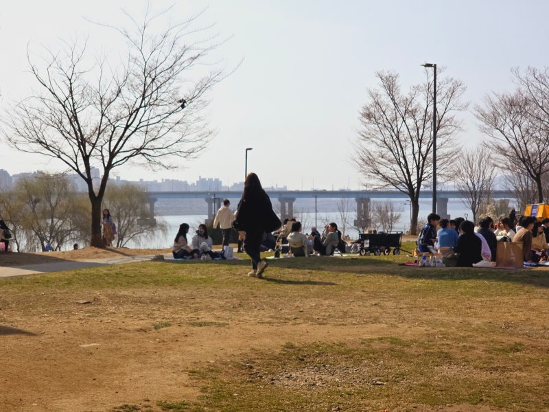 뚝섬 한강 공원 돗자리 대여 피크닉 1분 거리 더텐트 내돈내산 네이버 블로그