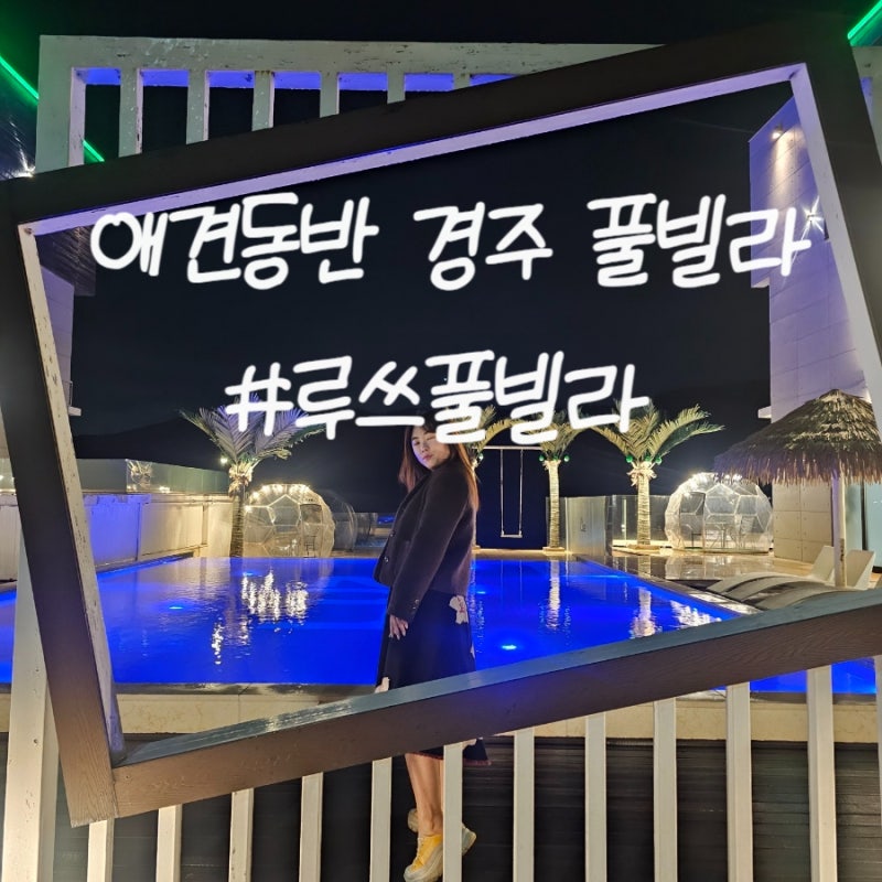 경주 애견동반 숙소 미온수 루쓰풀빌라 시설 이용후기 네이버 블로그