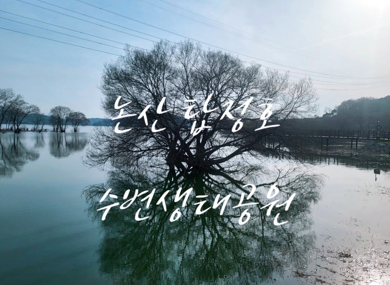 충남 논산 여행 코스 탑정호 수변생태공원 볼거리 네이버 블로그