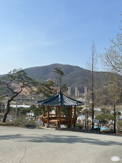 세종 글램핑장 다온숲 자리 예약 꿀팁 And 확인 안 하고 가면 후회할 장단점 총정리 네이버 블로그