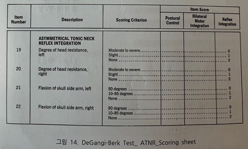 [감각통합기능 임상관찰]임상관찰 반사평가 방법 : STNR,ATNR,Righting reaction,쉴더상지신전검사,평형반응 ...