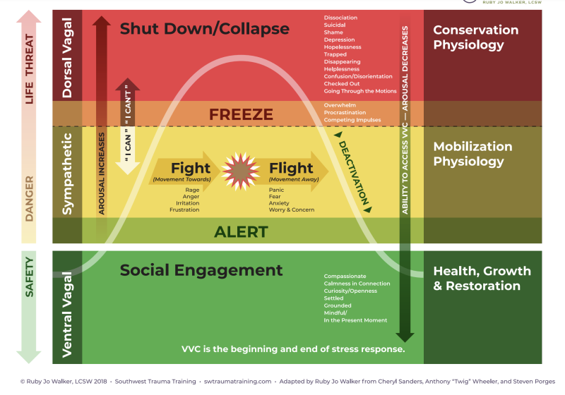 공부) 다미주 신경이론(ployvagal theory) 간단정리 : 네이버 블로그