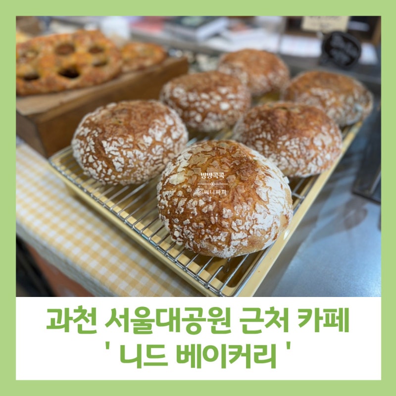 과천 문원동 서울대공원 근처 대형 카페 니드 베이커리 추천 네이버 블로그