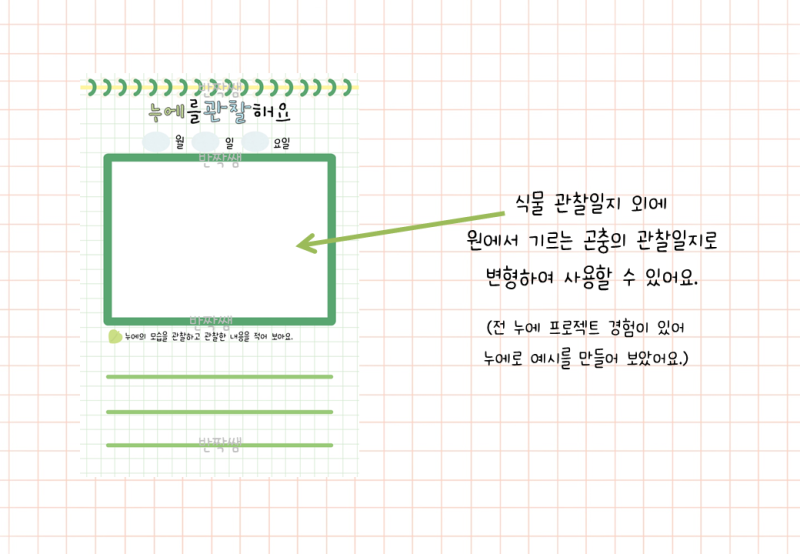 반짝쌤 식물관찰일지 네이버 블로그
