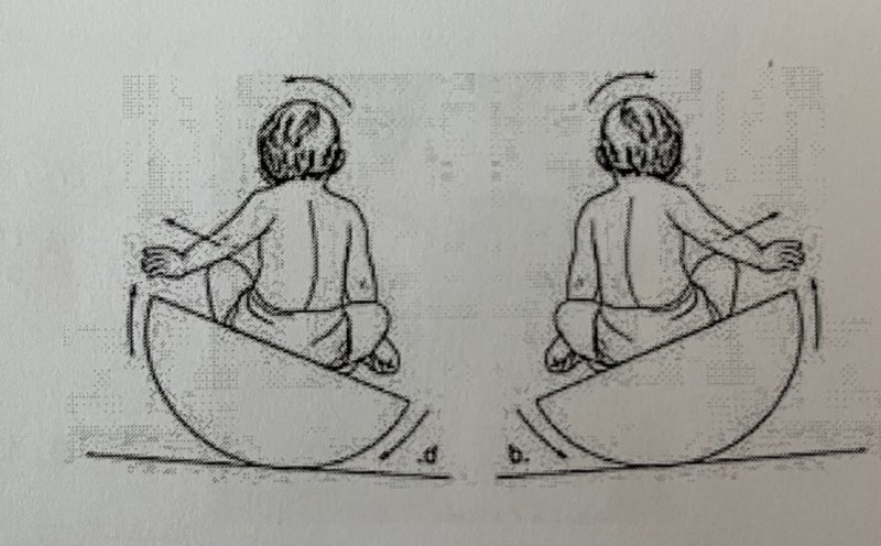 [감각통합기능 임상관찰]임상관찰 반사평가 방법 : STNR,ATNR,Righting reaction,쉴더상지신전검사,평형반응 ...