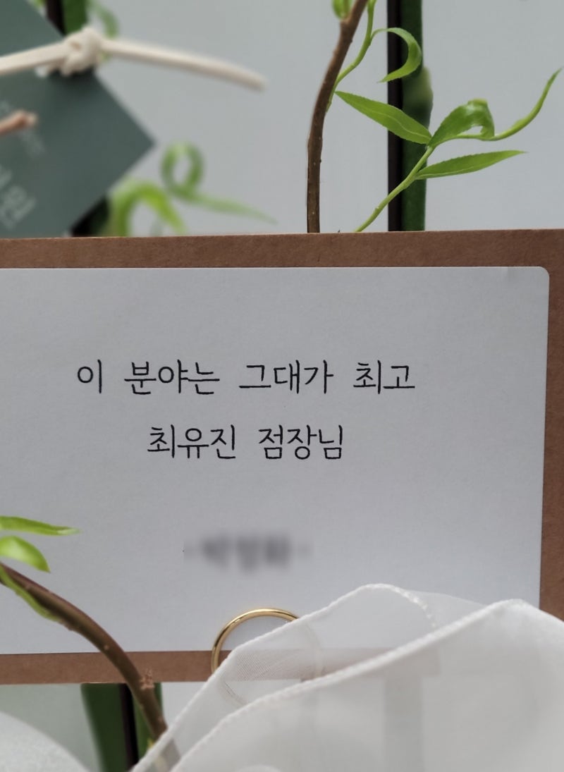 영전 영진 뜻 취임 승진 서양란 동양란 축하화분 센스 있는 승진축하문구 3가지 네이버 블로그