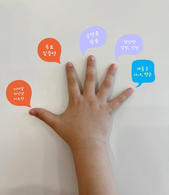 물고기 반지 의미 손가락별 반지 착용방법 방향 뜻 왼손 오른손 위치 우정 네이버 블로그