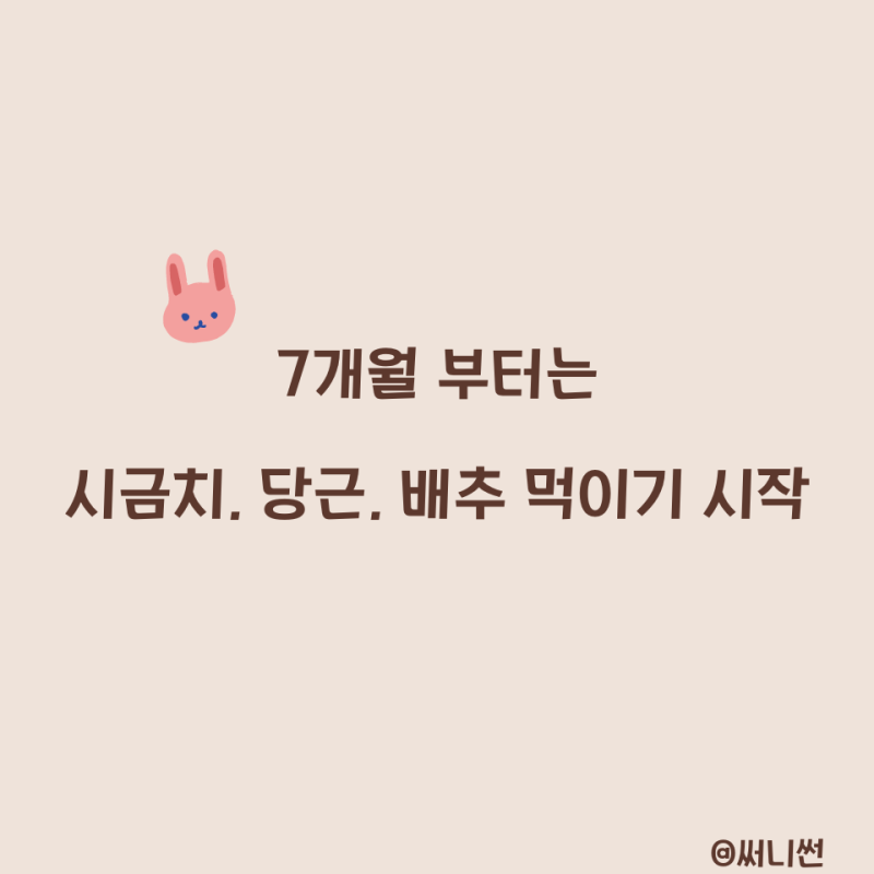 중기 이유식 식단표스케쥴 엑셀 비번없음 네이버 블로그