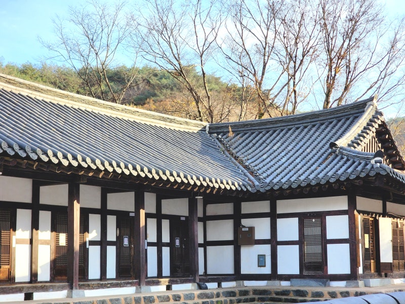 11월 가볼만한곳 공주 마곡사 단풍 드라이브 단풍시기 템플스테이 네이버 블로그