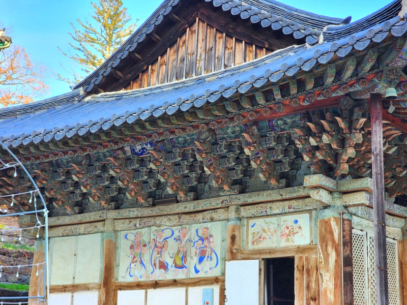 11월 가볼만한곳 공주 마곡사 단풍 드라이브 단풍시기 템플스테이 네이버 블로그