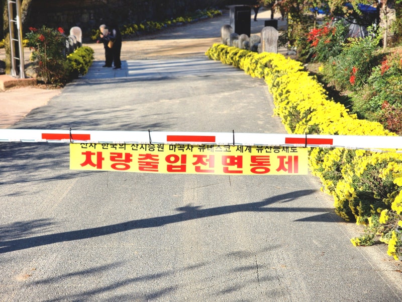 11월 가볼만한곳 공주 마곡사 단풍 드라이브 단풍시기 템플스테이 네이버 블로그