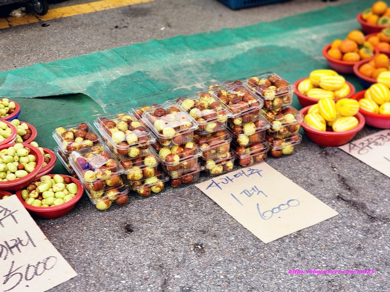 파주 재래시장 금촌 장날오일장 5일장 매 1 6일 금촌전통시장 맛집 네이버 블로그