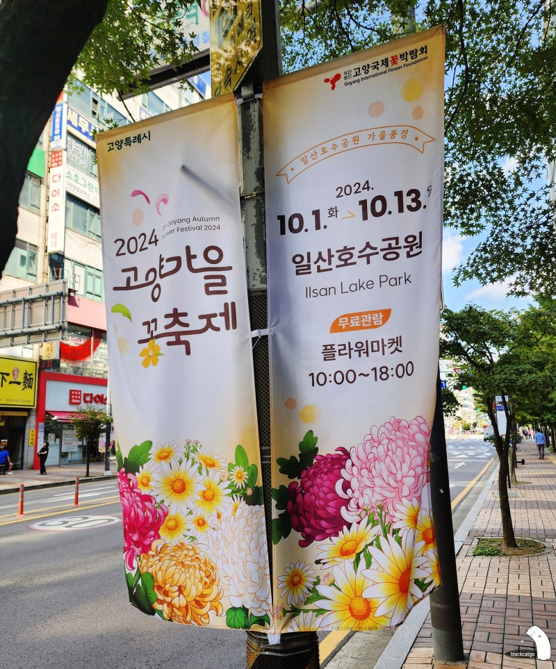 일산호수공원 고양가을꽃축제 경기도 꽃구경 리뷰 함께 볼만한 축제 네이버 블로그
