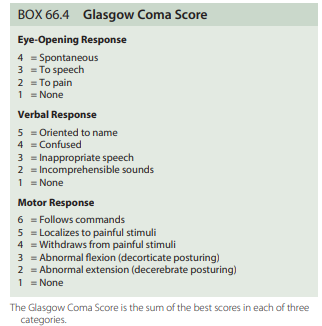 GCS (glasgow Coma score)로 환자 의식을 확인하는 방법은? 의식저하, 말이 어눌할 때 (1) : 네이버 블로그