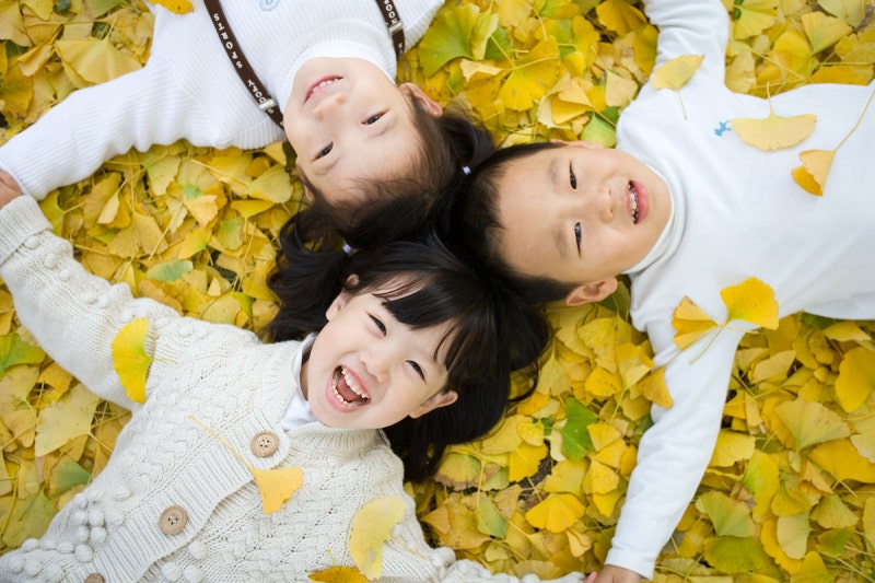 알짜닷컴 10월 가을 놀이 자료 가을 활동지 영유아 놀이 어린이집 보육교사 자료 유치원 다람쥐 놀이