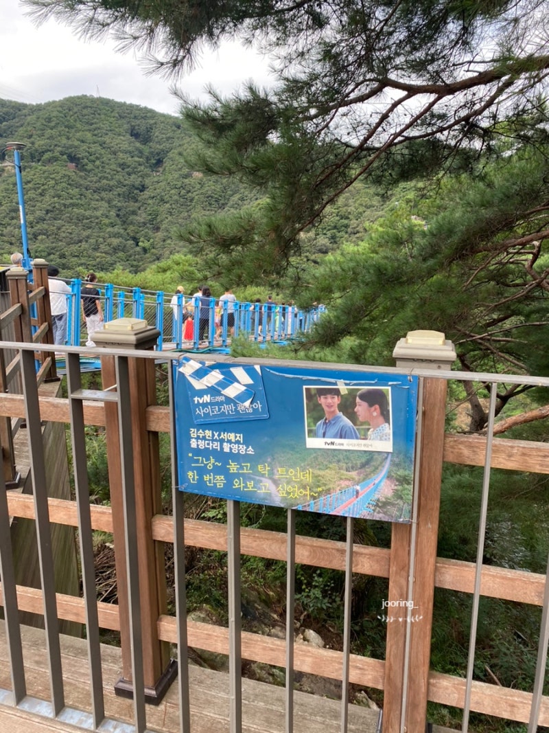 원주 소금산 그랜드밸리 출렁다리 울렁다리 후기 및 에스컬레이터 케이블카 정보 네이버 블로그
