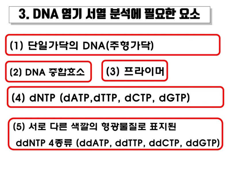 DNA 염기서열 분석법, 인간 유전체 사업-게놈 프로젝트,DNA 염기서열 분석 원리,ddNTP, dNTP의 차이 : 네이버 블로그