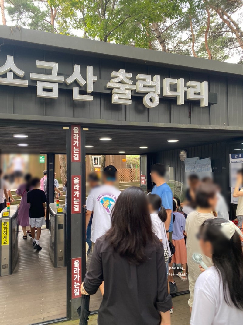 원주 소금산 그랜드밸리 출렁다리 울렁다리 후기 및 에스컬레이터 케이블카 정보 네이버 블로그