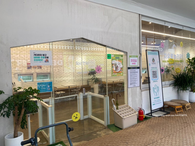 파주애견운동장 자유로멍놀러와 애견테마파크 마음껏 뛰어놀기 좋은 카페 네이버 블로그
