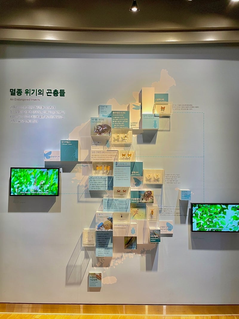 무주 반디랜드 가볼만한곳 곤충박물관 입장료 할인 꿀팁 네이버 블로그