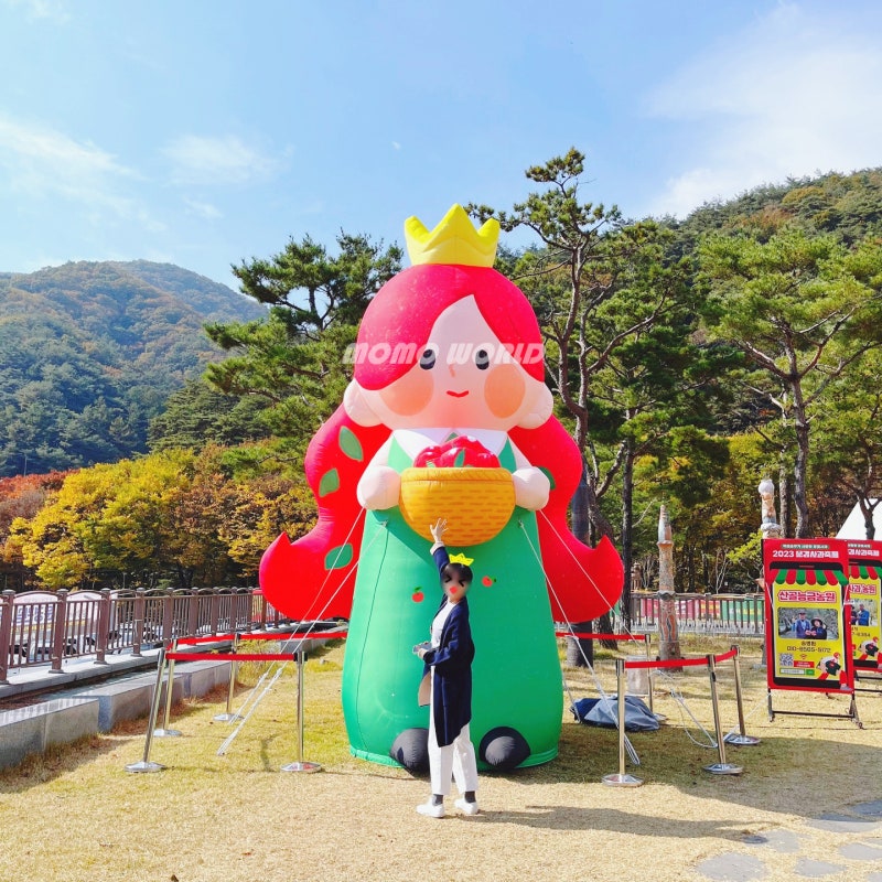 괴산 문광저수지 은행나무길 단풍 명소 가을 여행지 추천 네이버 블로그