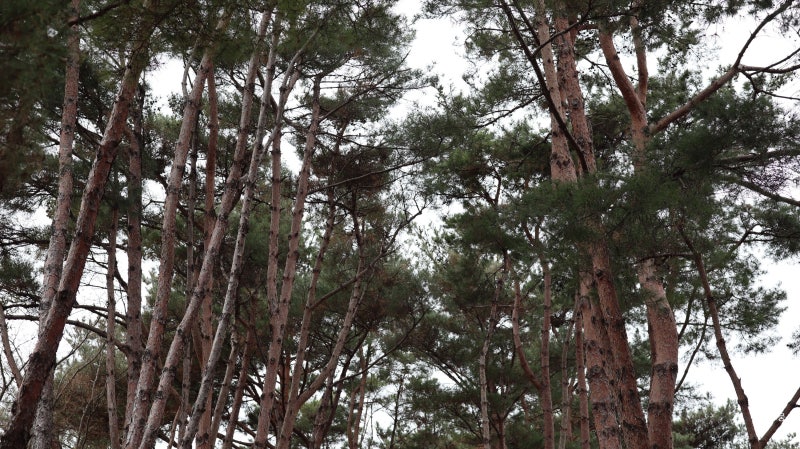 경남 남해 여행 코스 관광 지도 주요 관광지 공유해요 네이버 블로그