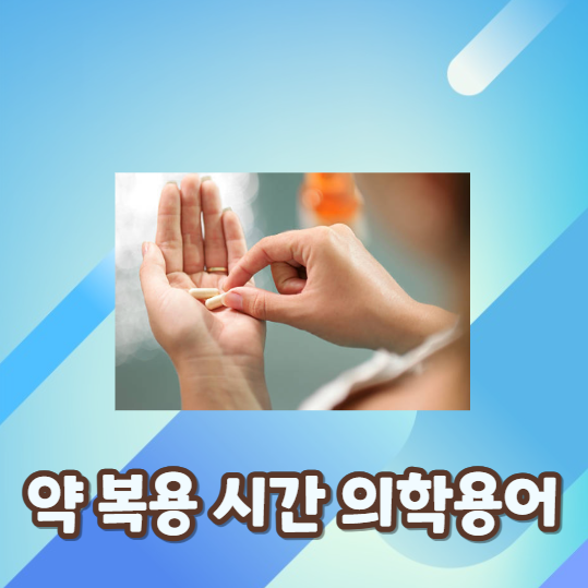 의학용어 qd, bid, tid, qid, eod, ac, pc, hs, stat, prn, qod 뜻 의미 : 네이버 블로그