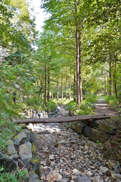 논산 가볼만한 곳 온빛자연휴양림 포토존 가득한 산책길 네이버 블로그