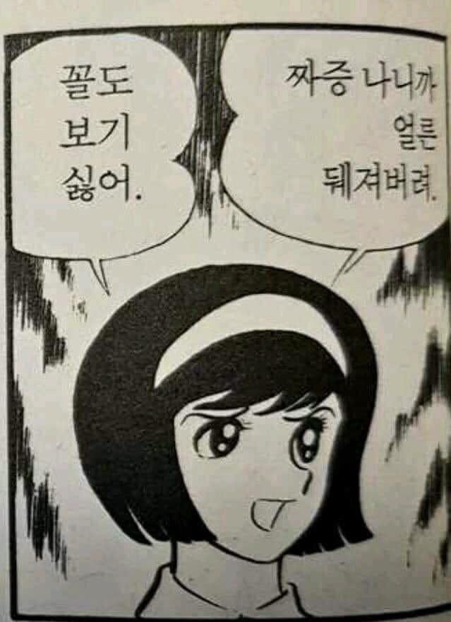 블로그에 쓰기 유용한 웃긴 짤 모음 : 네이버 블로그