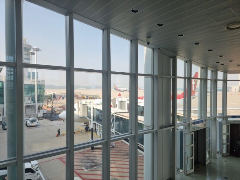 티웨이 항공 프랑크푸르트 유럽직항 탑승후기feat 프랑크푸르트 공항 나가는 법 좋은 좌석 찾기 네이버 블로그